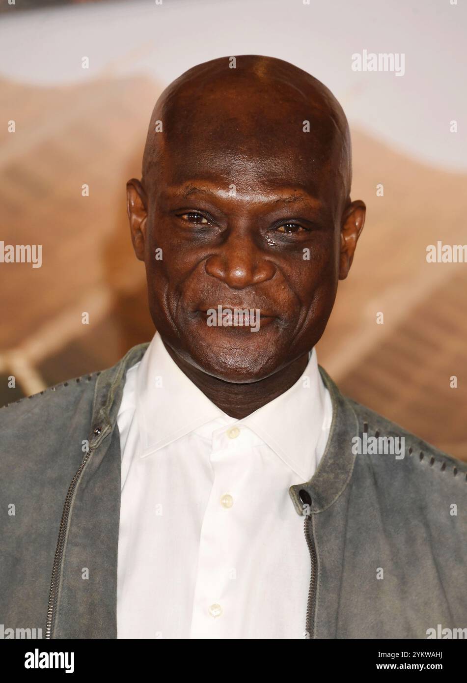 HOLLYWOOD, CALIFORNIA - NOVEMBER 18: Peter Mensah attends the ...