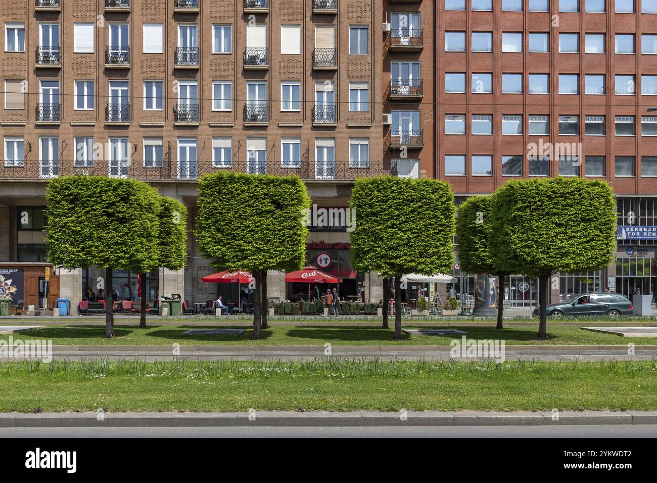 Cubes and trees hi-res stock photography and images - Alamy