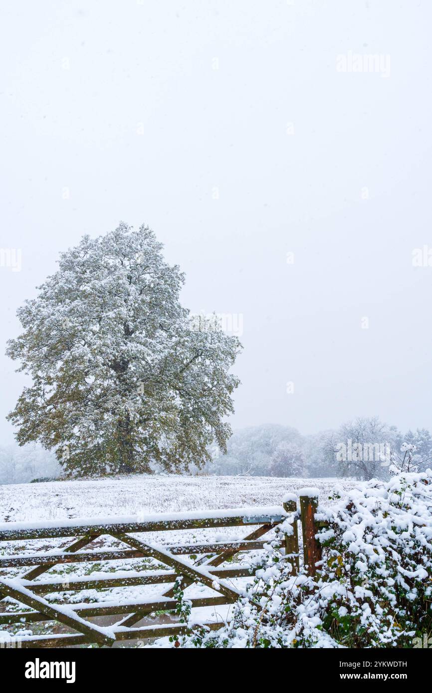 Rural snow scene with a gate to a field and trees covered in snow ...
