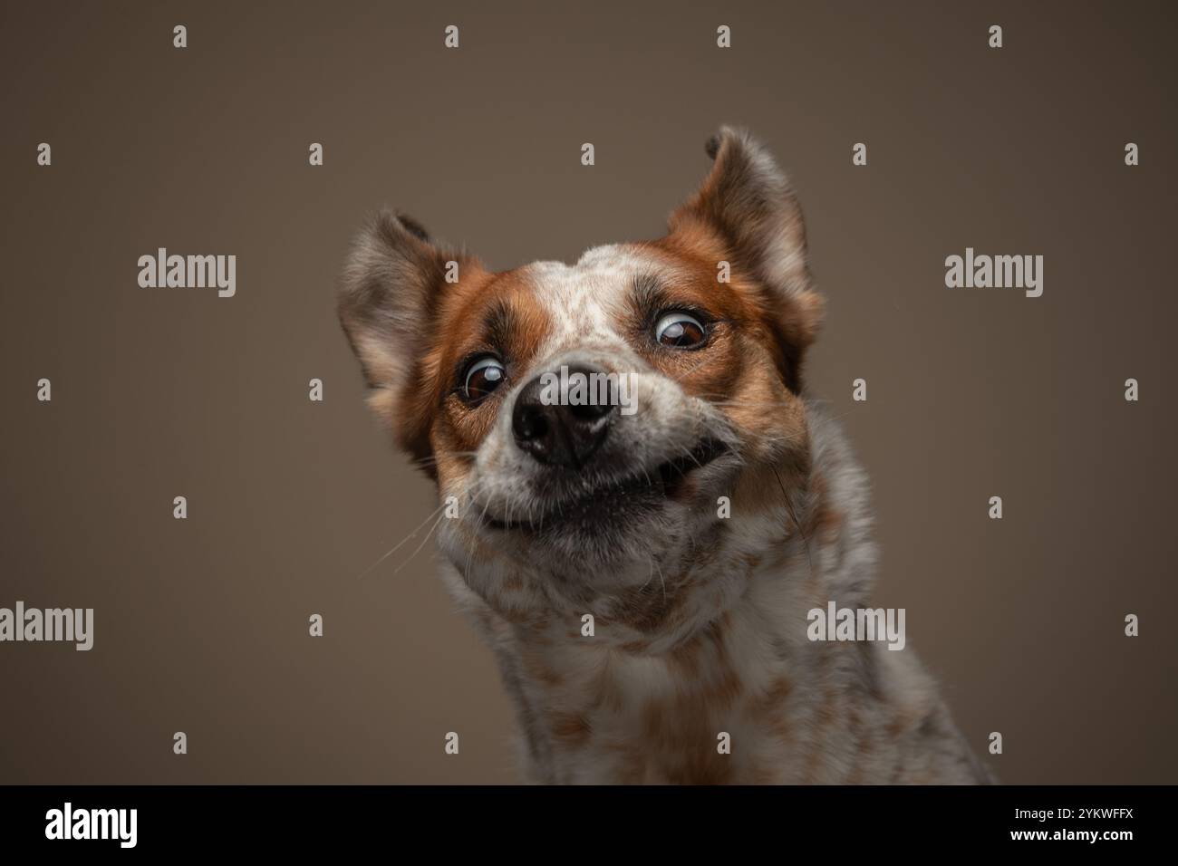 Crazy model hi-res stock photography and images - Alamy