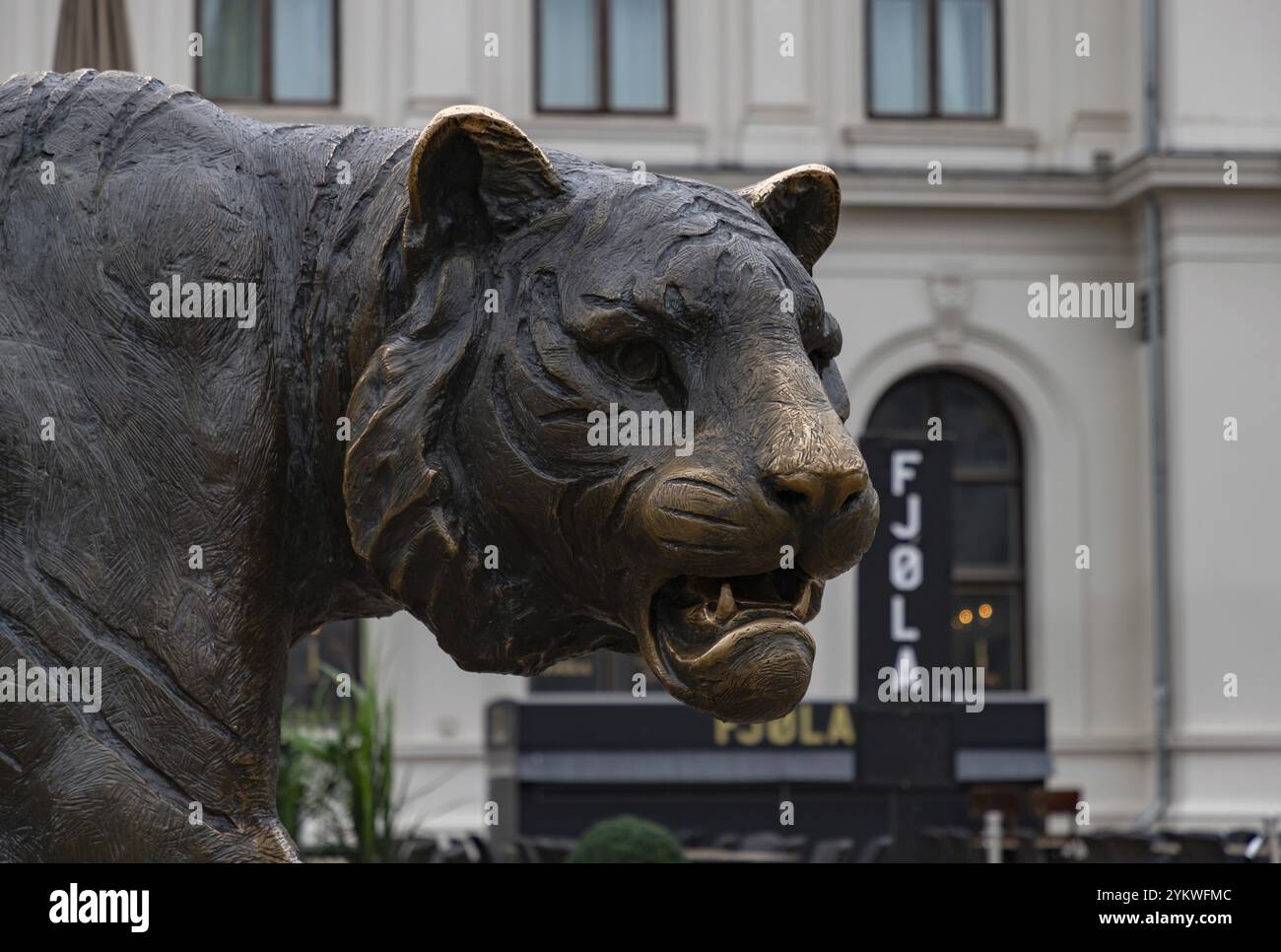 A close-up picture of the iconic Tiger statue of Oslo, at the ...