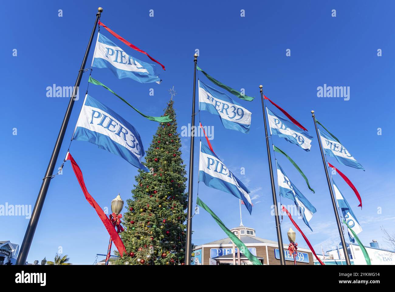 A picture of the flags of Pier 39, with a Christmas tree in the back ...