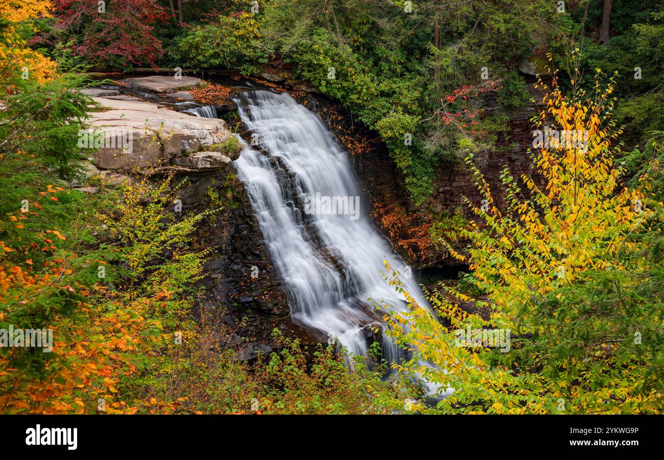 Muddy Creek Falls, Swallow Falls State Park, Maryland Stock Photo - Alamy