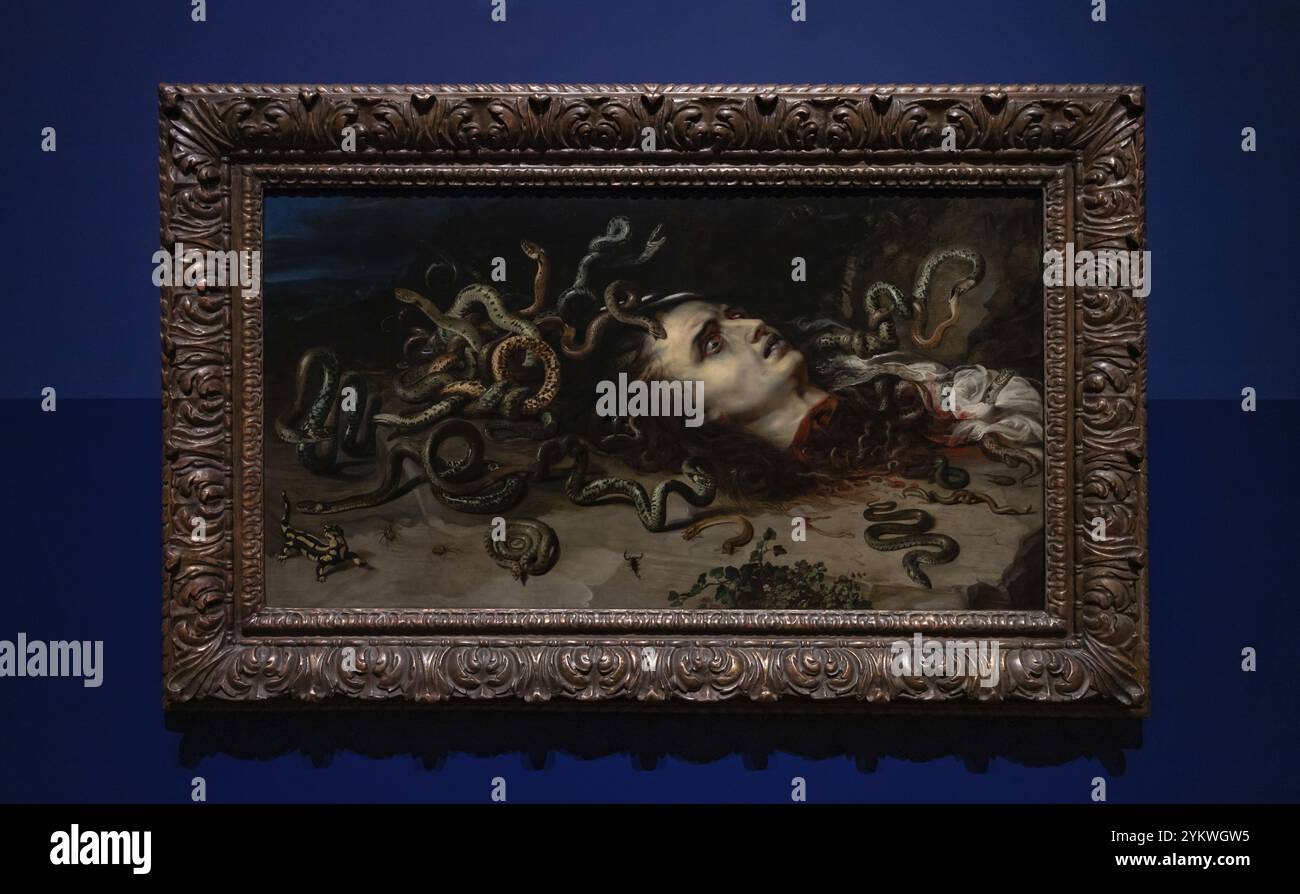 A picture of The Head of Medusa, by Peter Paul Rubens and Frans Snyders ...