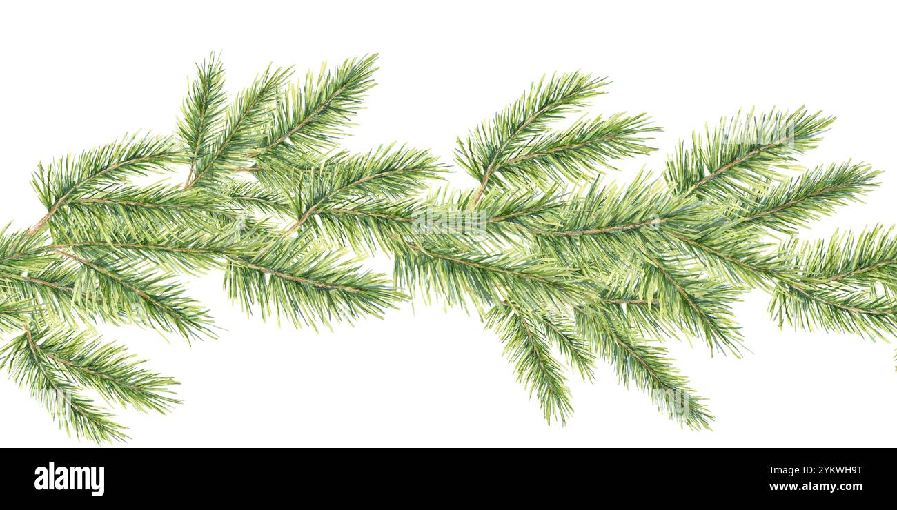 Lush green pine branches in watercolor, seamless border clipart ...