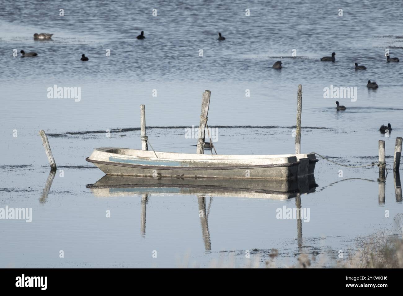 Empty wooden boat on water hi-res stock photography and images - Alamy