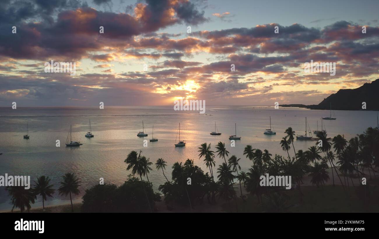 Sailboats yachts anchor in tropical island sea bay lagoon. Palm trees ...
