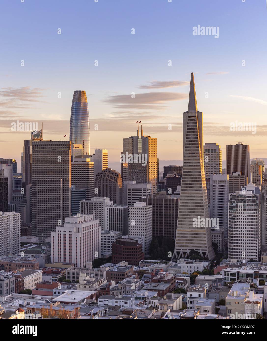 A picture of the Transamerica Pyramid, the Salesforce Tower and the ...
