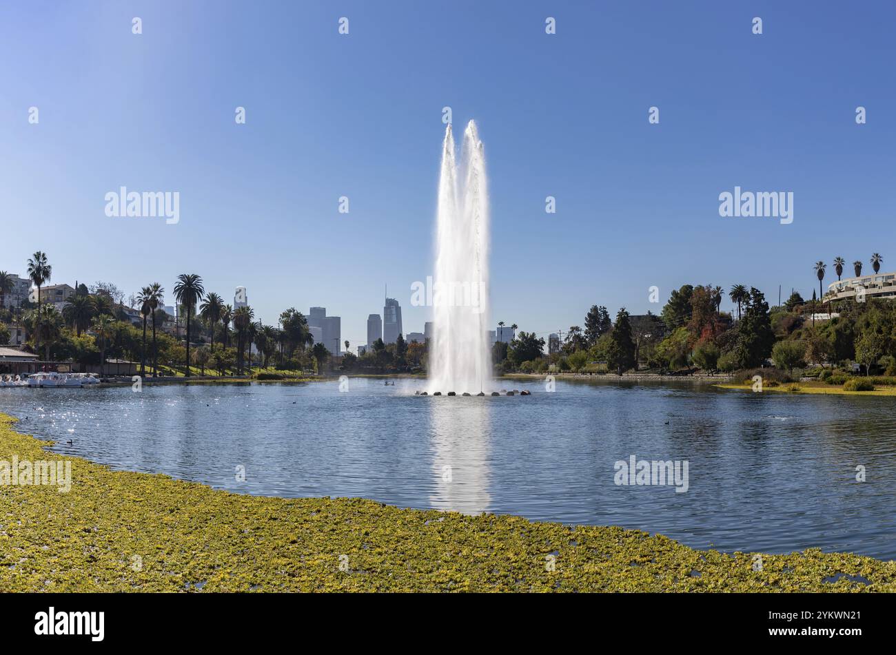 A picture of the Echo Park Lake and its geiser shooting from the middle ...