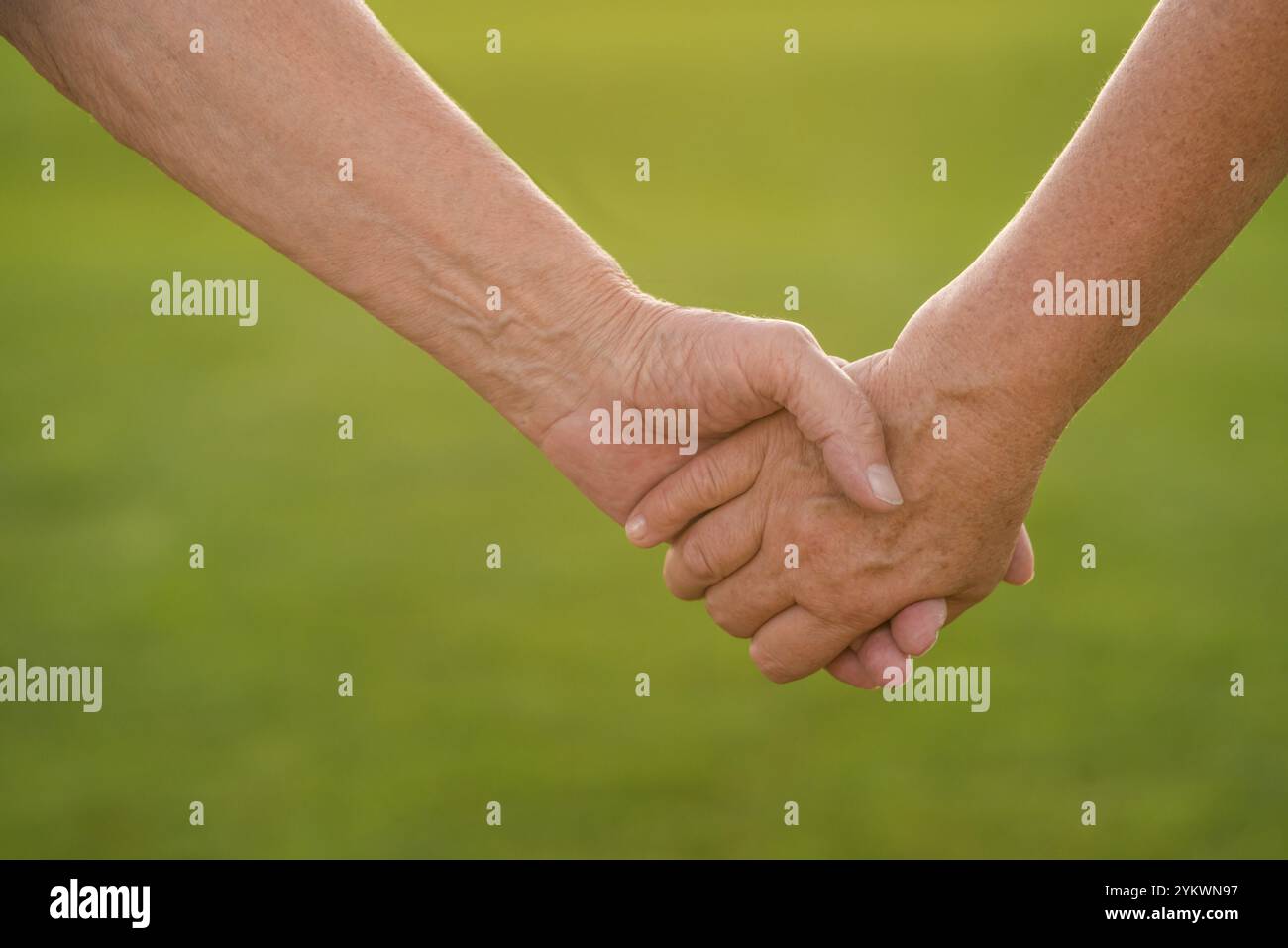 Hands of a senior couple. Two people holding hands. Devotion and trust ...