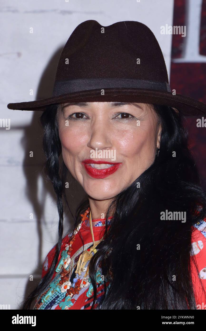 Irene Bedard 11/18/2024 The Los Angeles Premiere of "Gladiator II" held ...