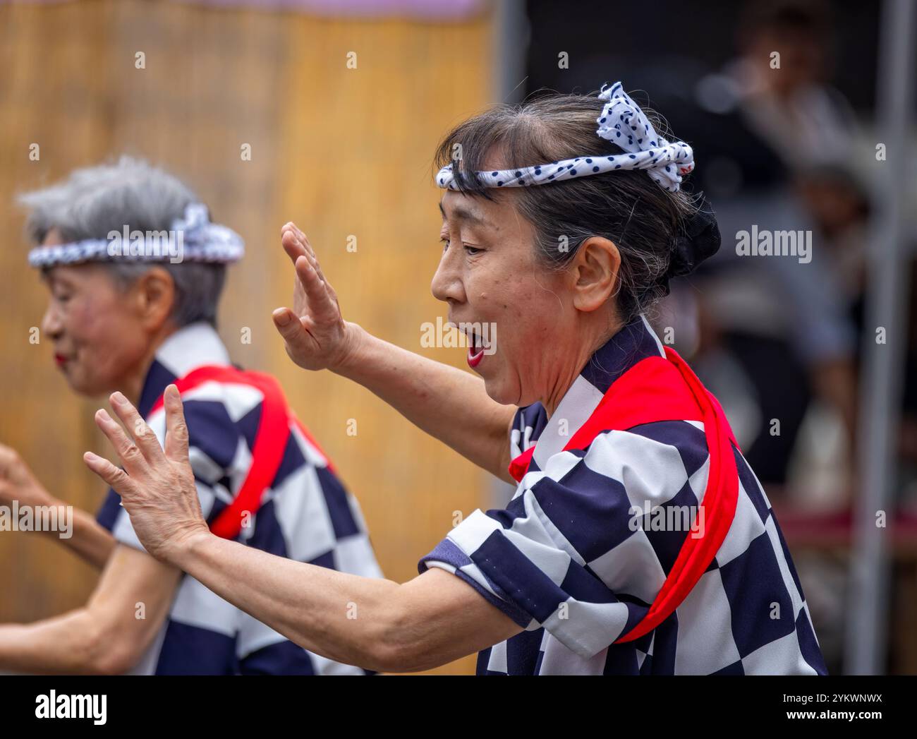 Close up of elderly Japanese woman perfoming in traditional japanese ...