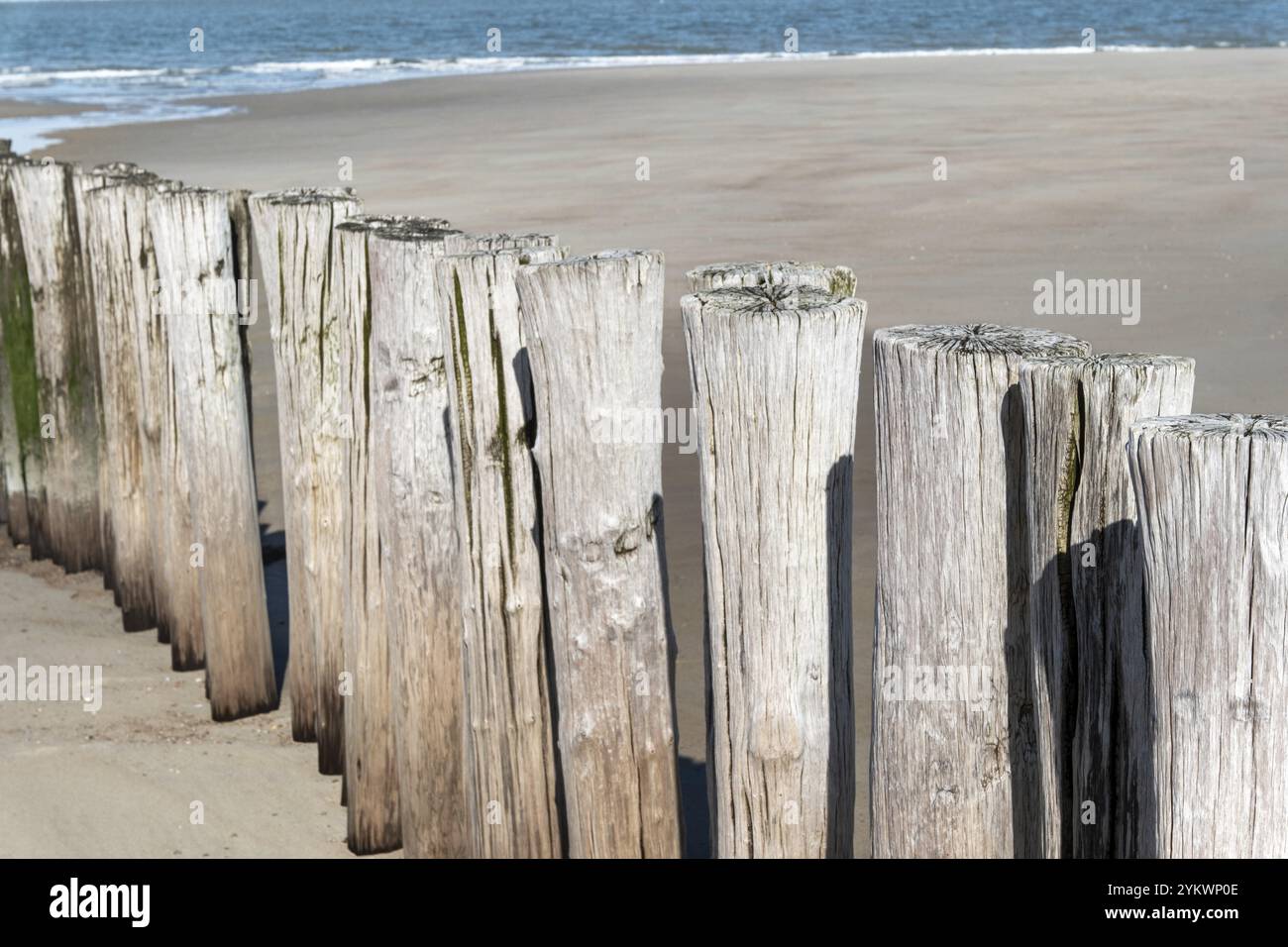 Wooden breakwaters on the North Sea Stock Photo - Alamy