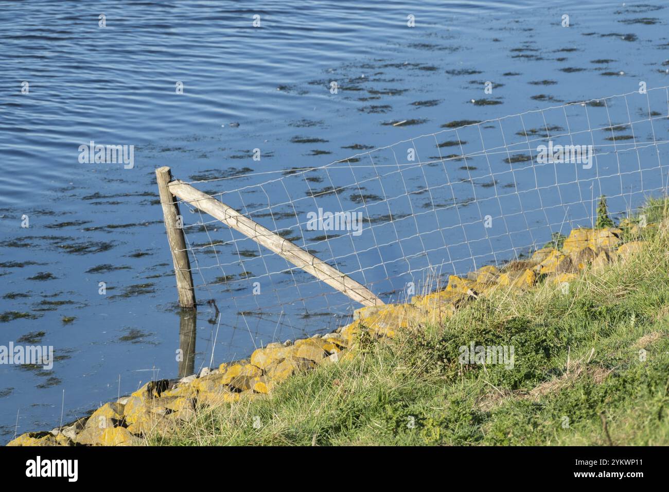 Fences in water hi-res stock photography and images - Alamy