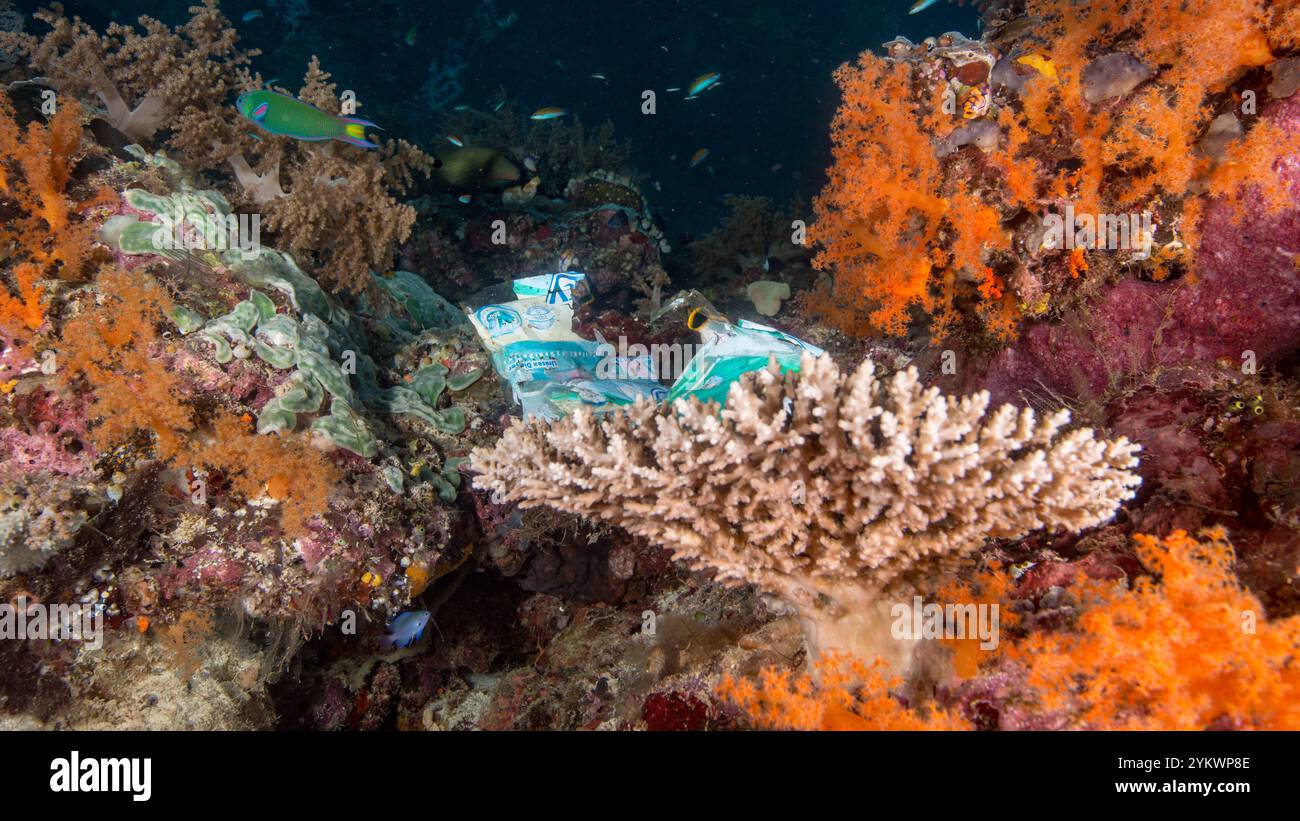 coral outcrop with plasic pollution raja ampat Stock Photo - Alamy