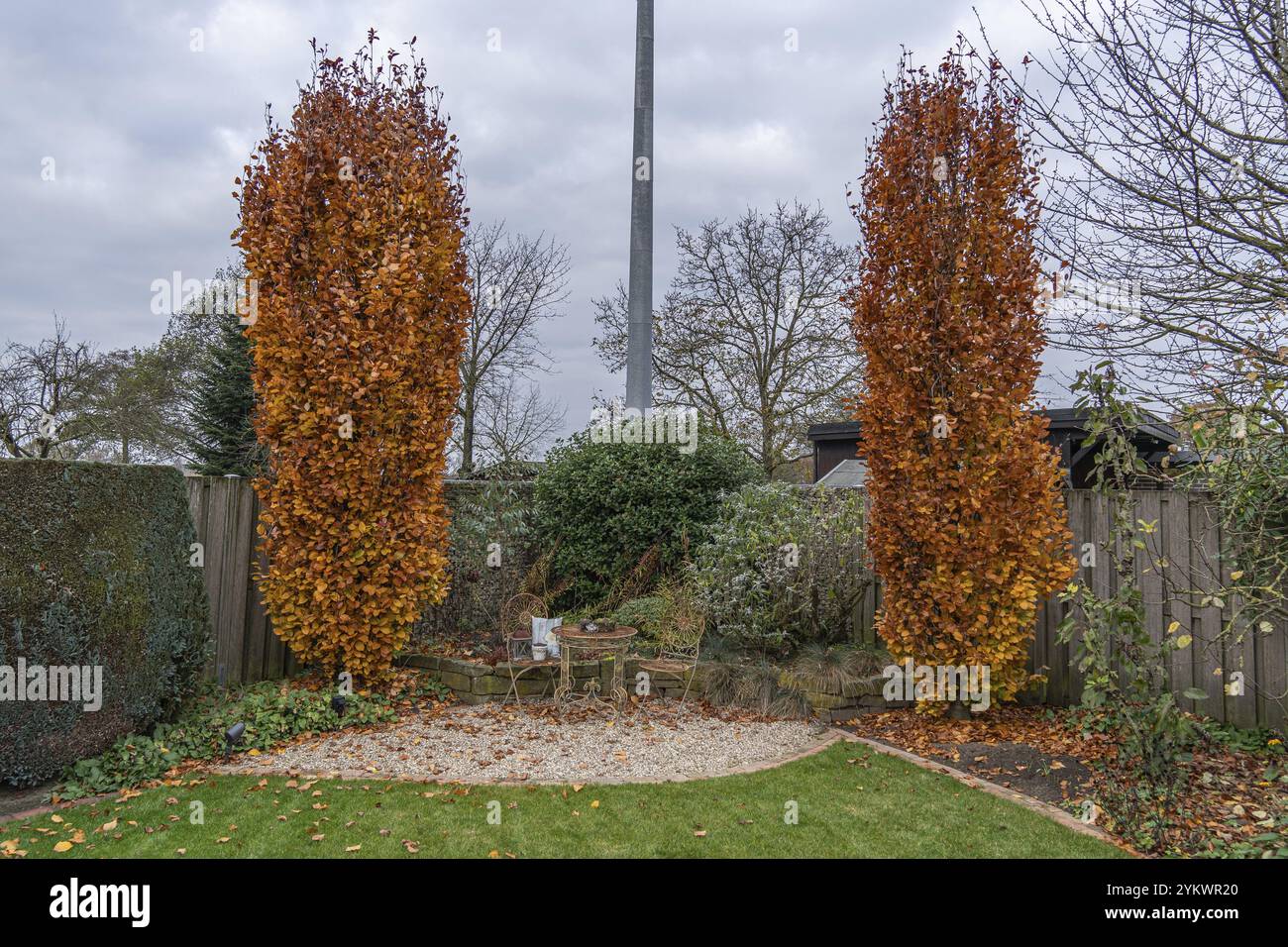 Garden view with tall trees in autumn colours and a cloudy sky, gemen ...