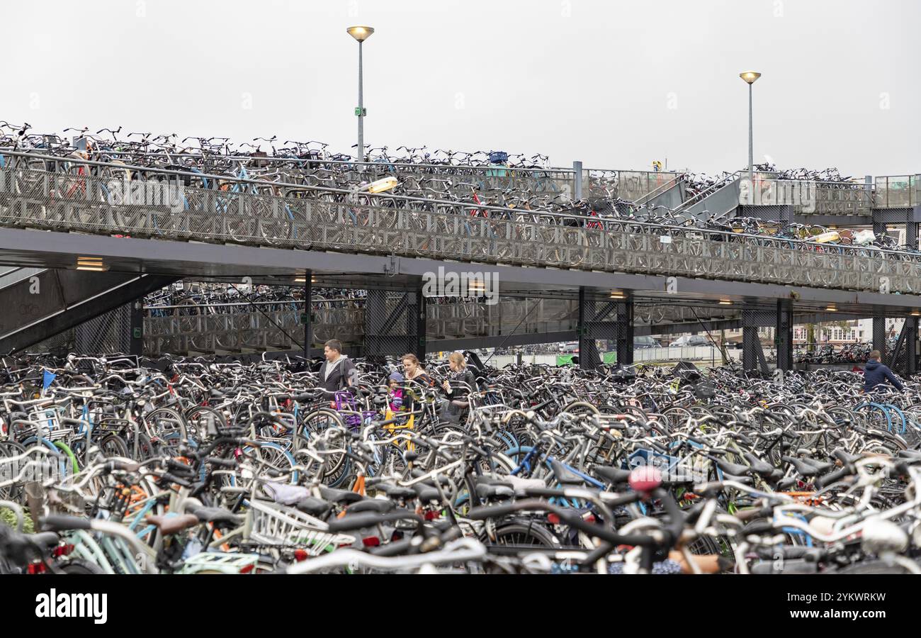 A picture of the massive bicycle parking near the Central Station of ...