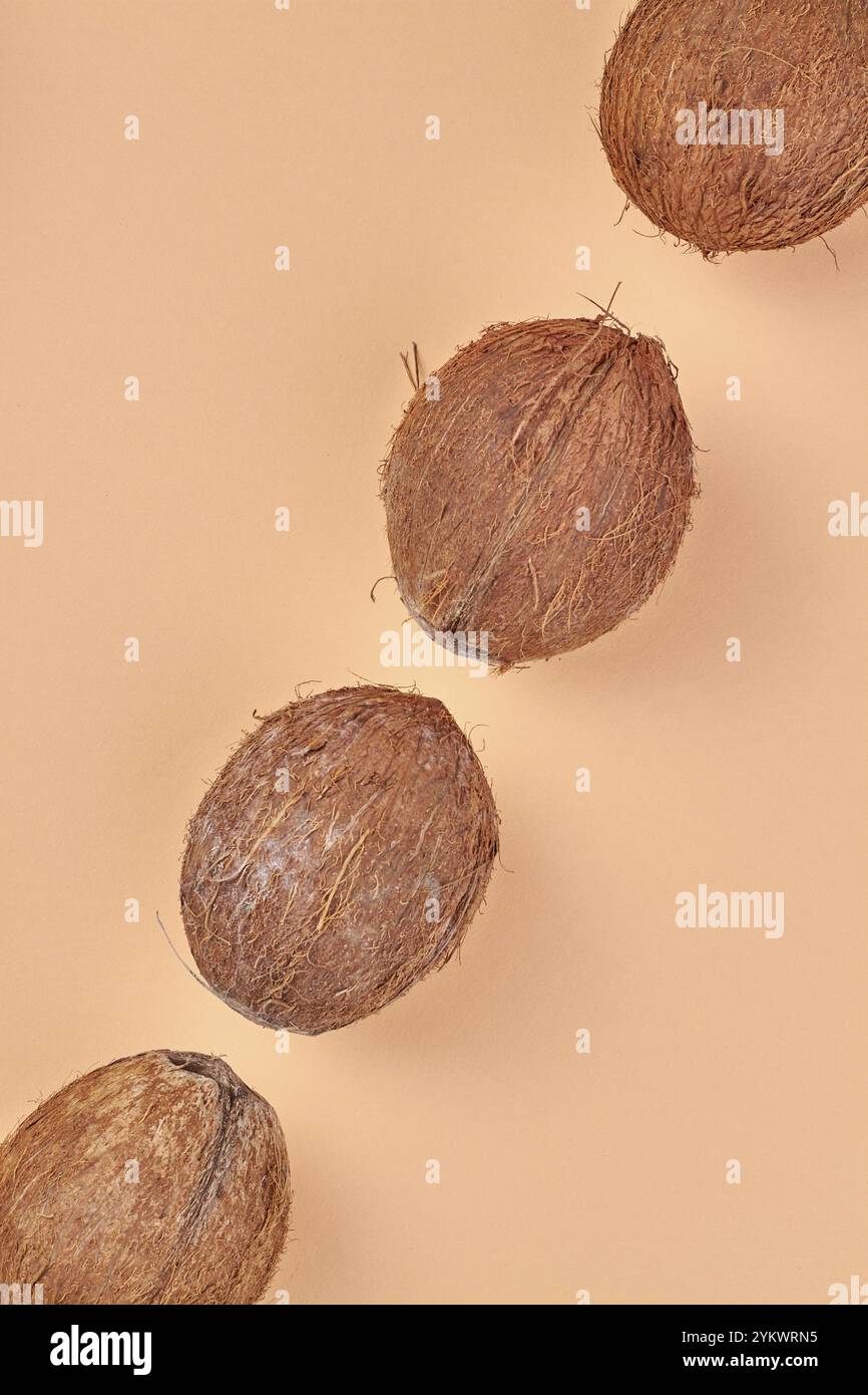Four whole brown tropical coconuts on color background. Top view of ...