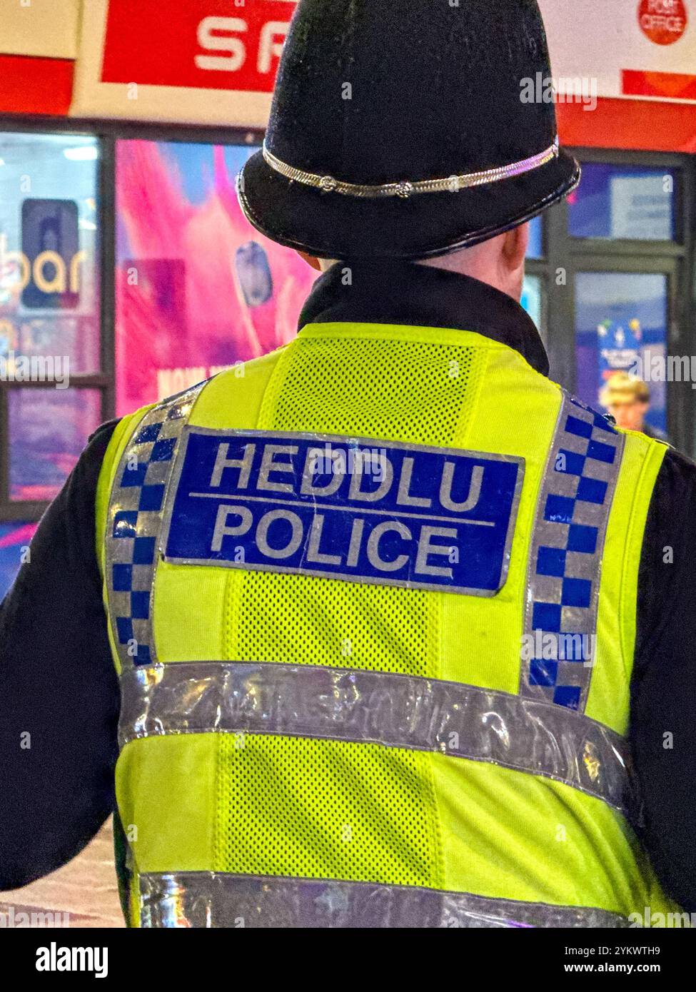 Cardiff, Wales, UK - 17 November 2024: Rear view of an officer of South ...