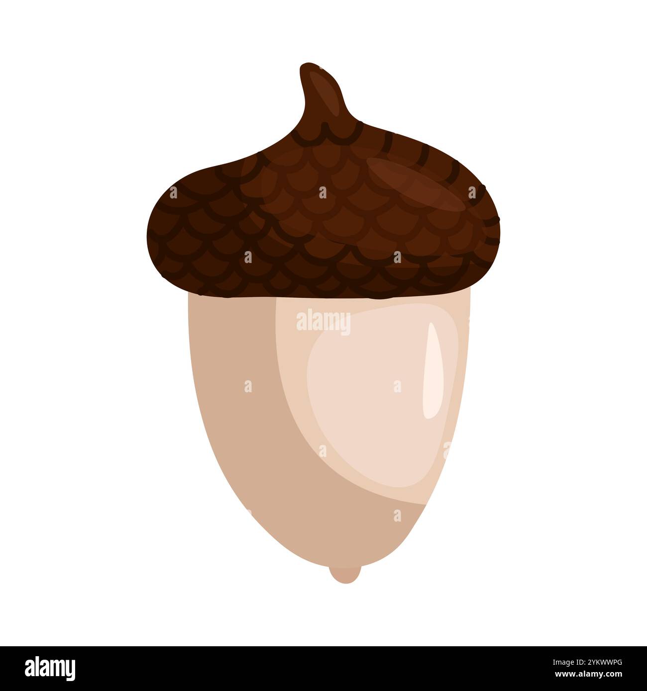 Acorn cartoon. Brown acorn cartoon. Autumn cartoon. Vector illustration ...
