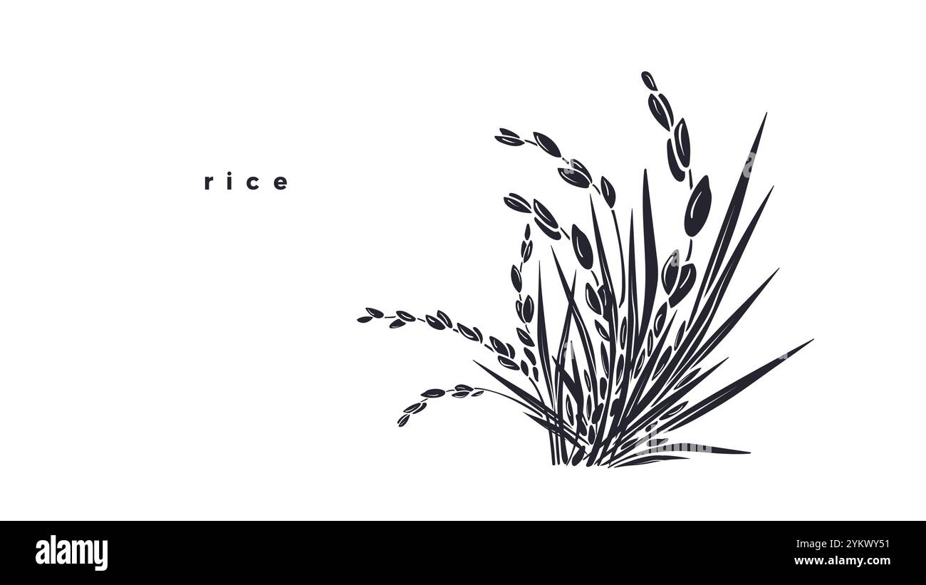 Rice plant, grains. Vector landscape silhouette isolated on white ...