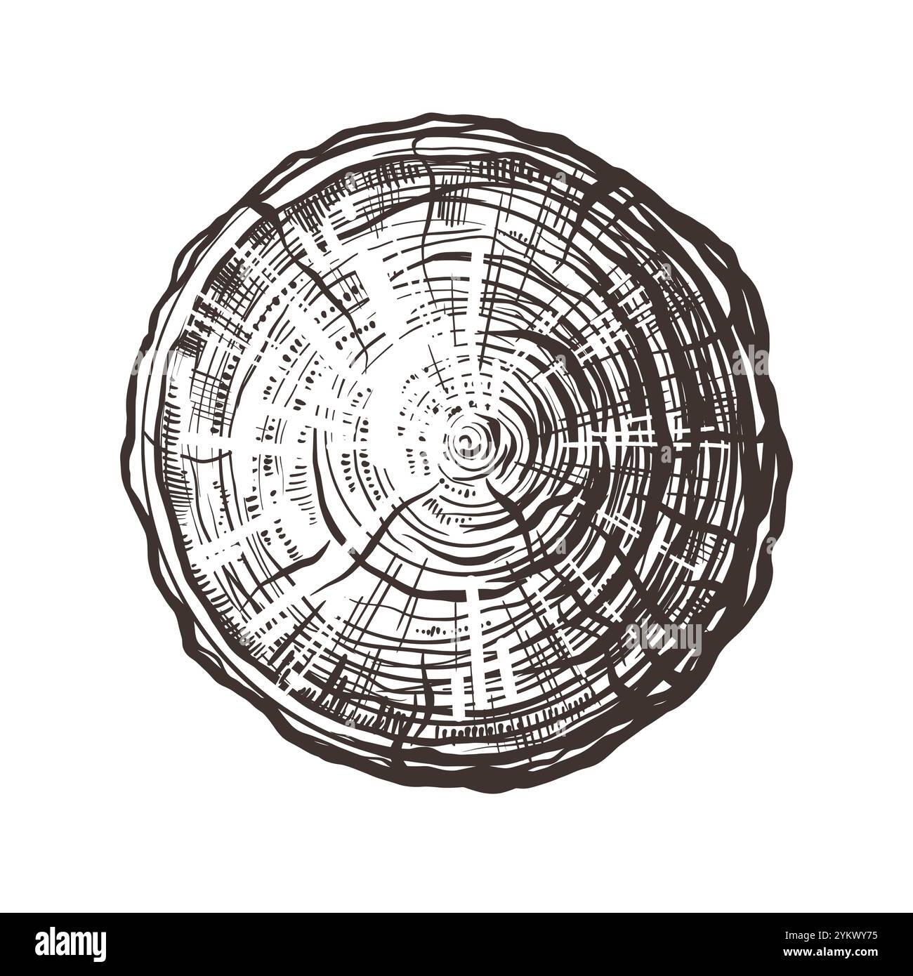 Wood hand drawn texture cut. Vector engraving illustration, vintage ...