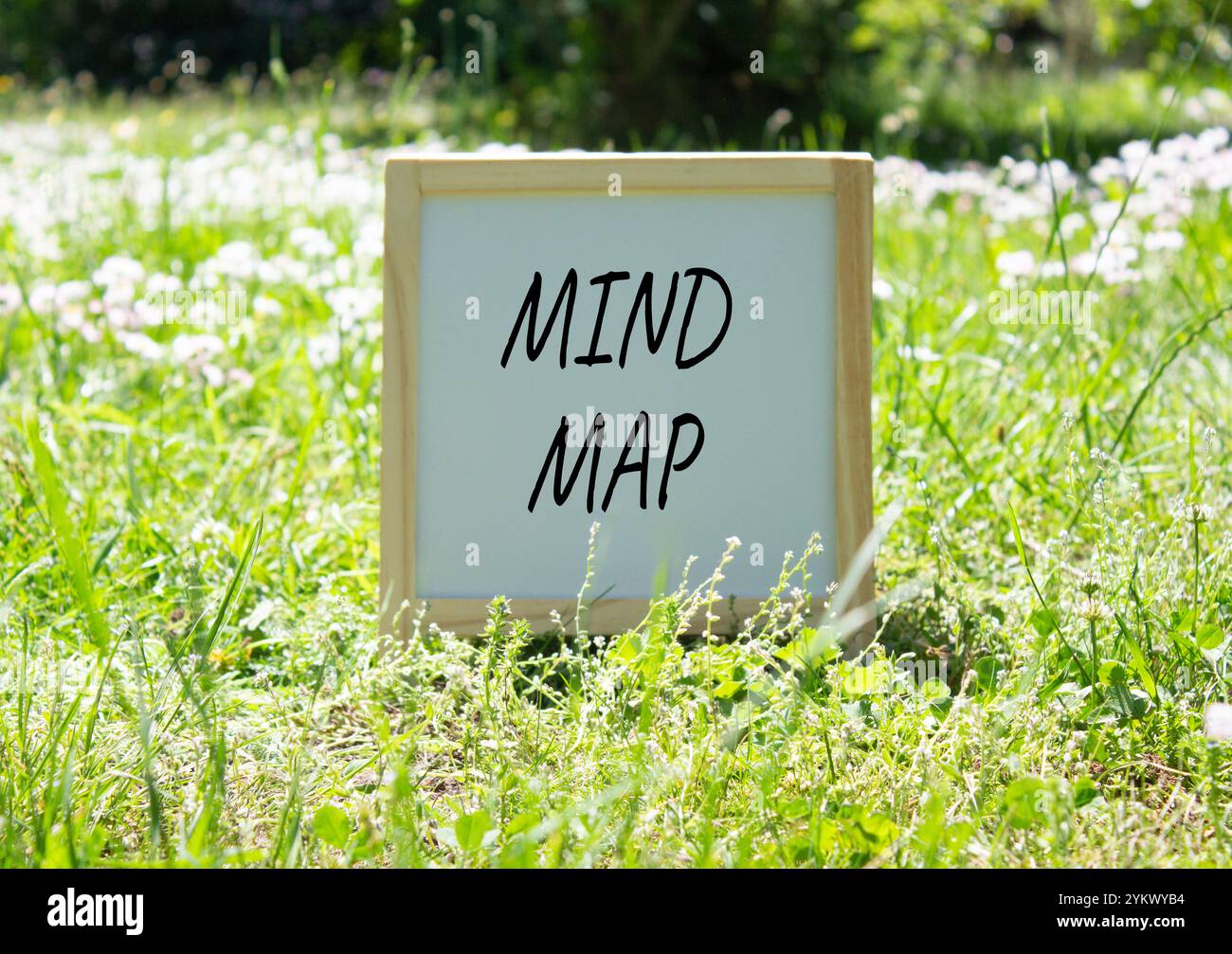 Mind Map symbol. Concept word Mind Map on white chalk background ...