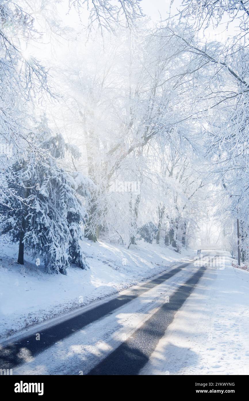 Winter road through the forest Stock Photo - Alamy