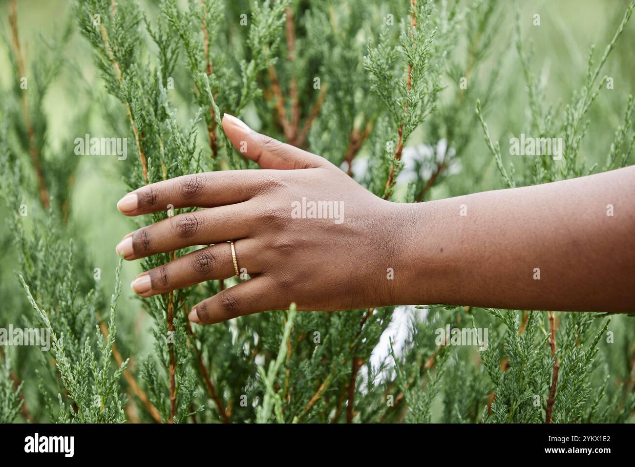 Unrecognizable black woman stroking hand hi-res stock photography and ...