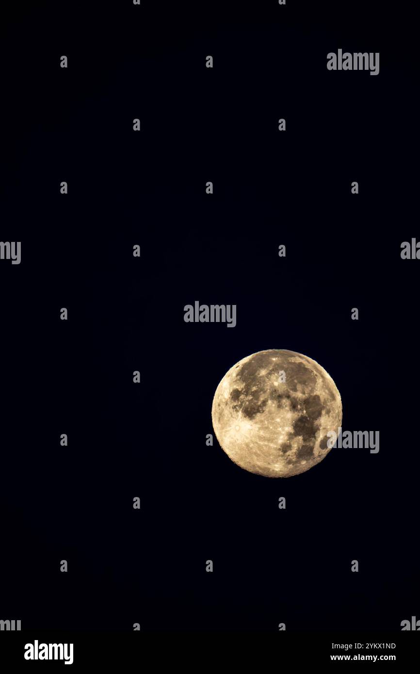 Beaver Super Moon morning of November 16, 2024, vertical Stock Photo ...