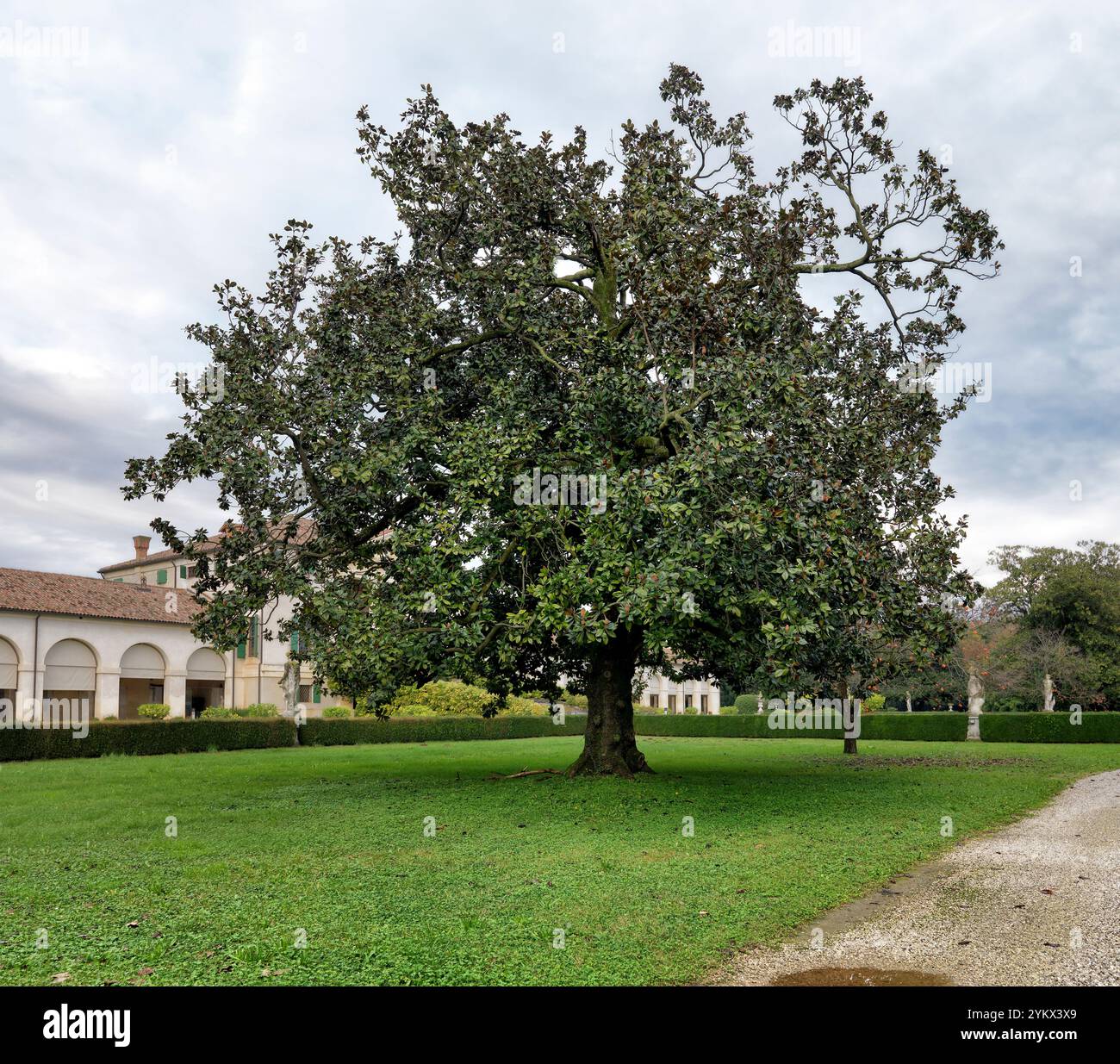 Landscape of a garden of an ancient historic villa in Italy, with a ...