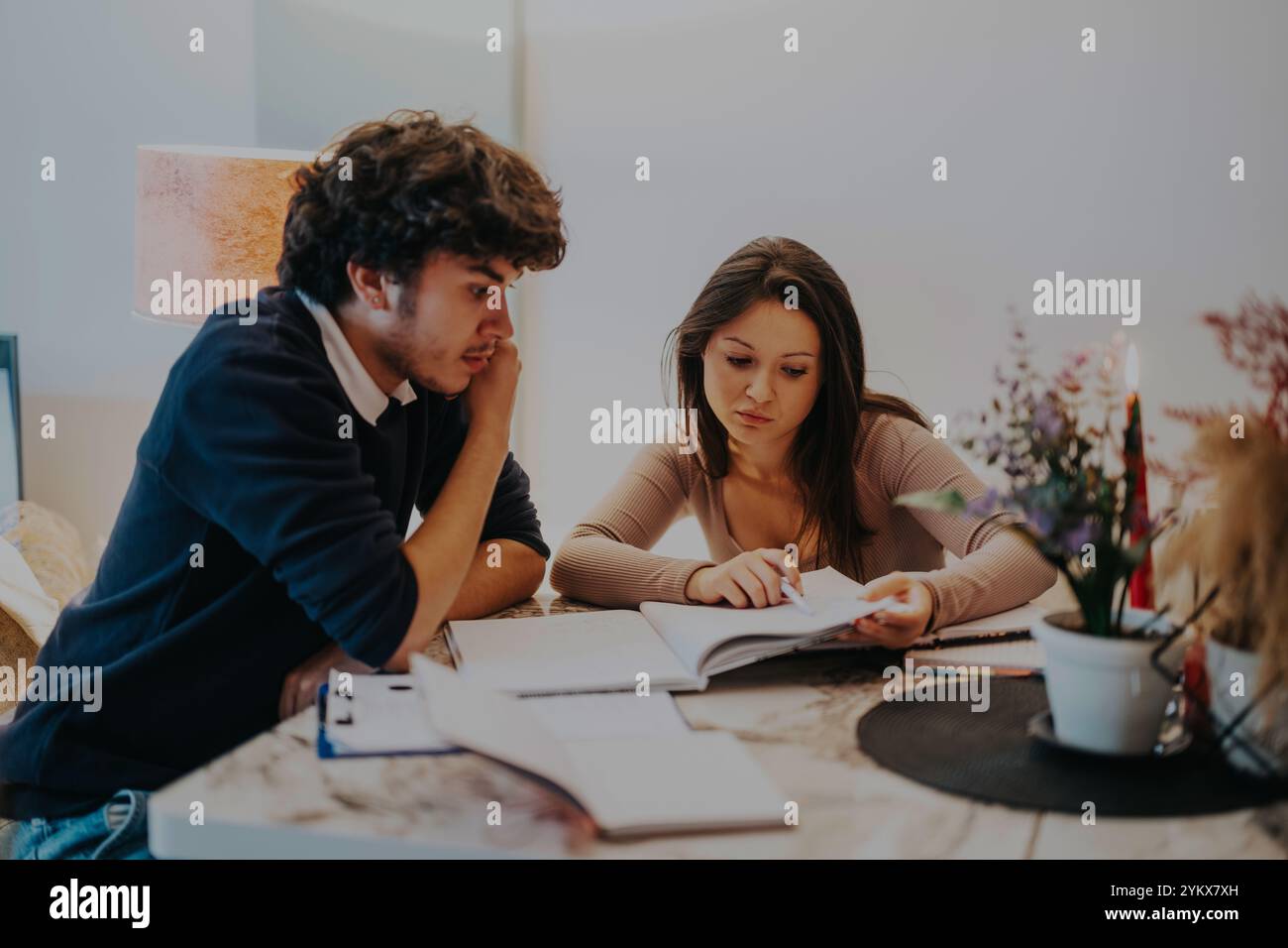 College students studying together at home with books and notes Stock ...