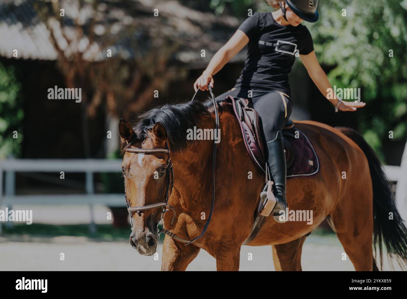 Young woman confidently riding a horse in an outdoor arena Stock Photo ...