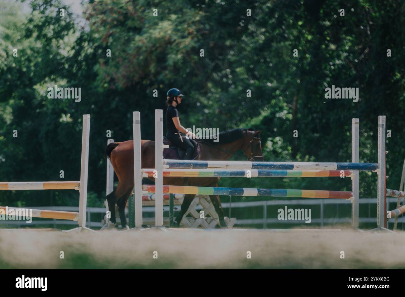 Equestrian rider practicing horse jumping in lush green outdoor arena ...