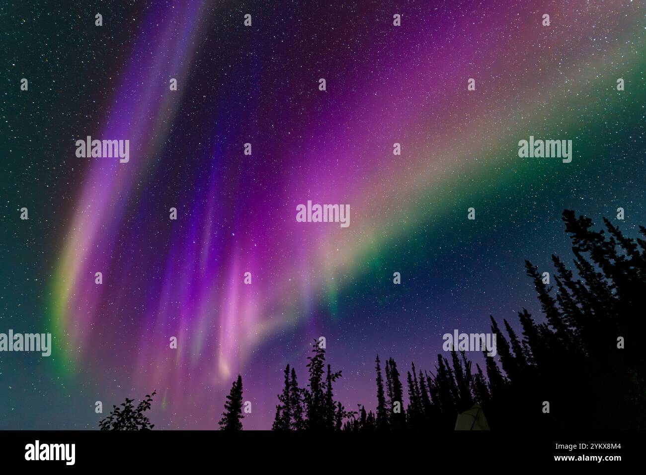Colorful Aurora Borealis, Northern Lights, at Yellowknife, Northwest ...