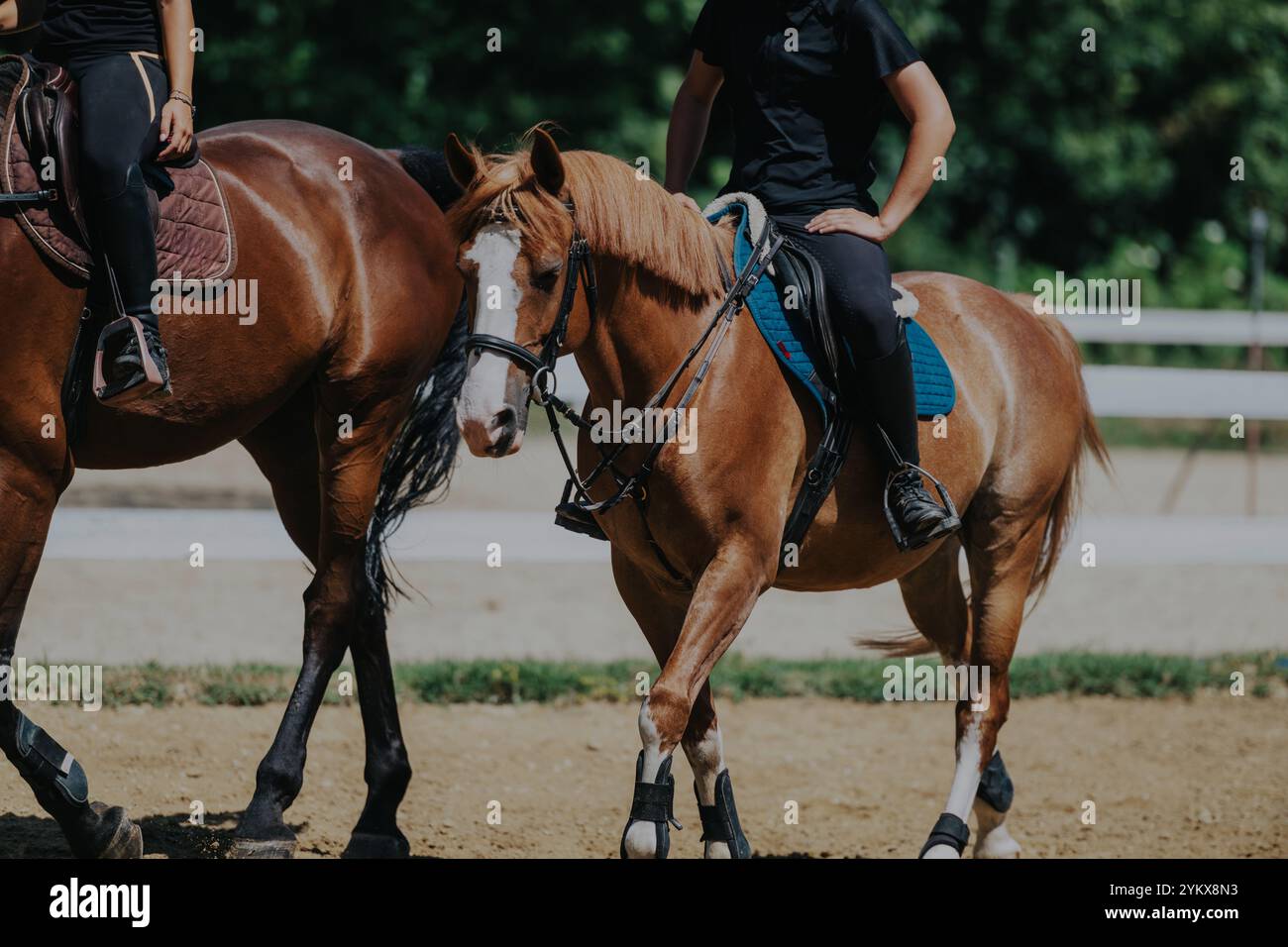 Two horse riders practicing equestrian skills in an outdoor setting ...