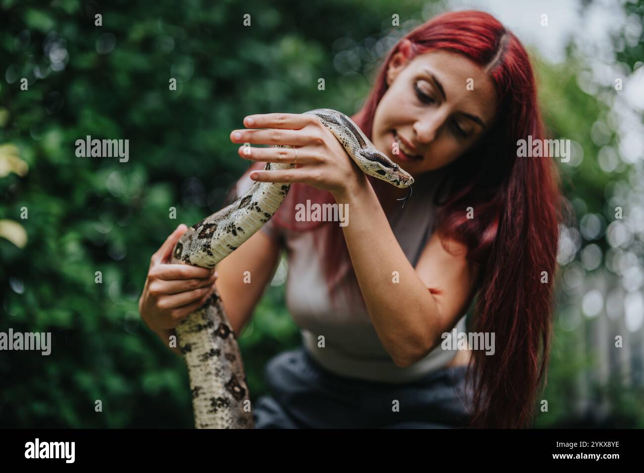 Young girl confidently holding a large exotic snake outdoors Stock ...