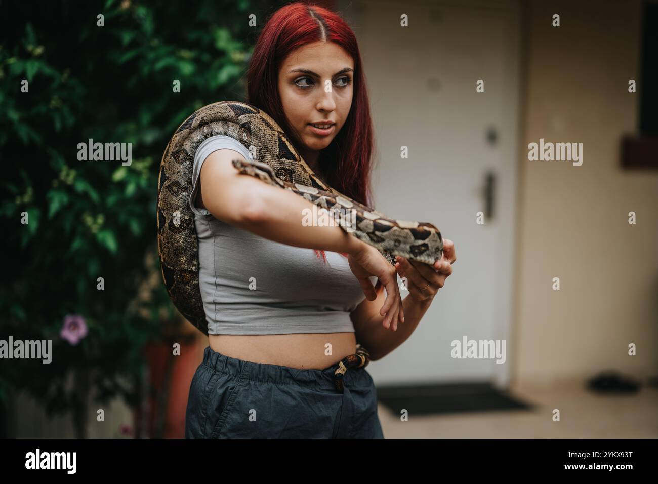 Confident young girl handling large snake outdoors in garden Stock ...