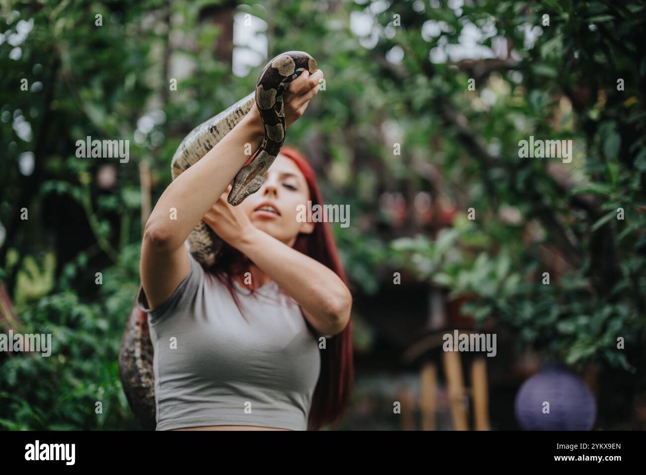 Girl confidently handling a large snake in a lush garden Stock Photo ...