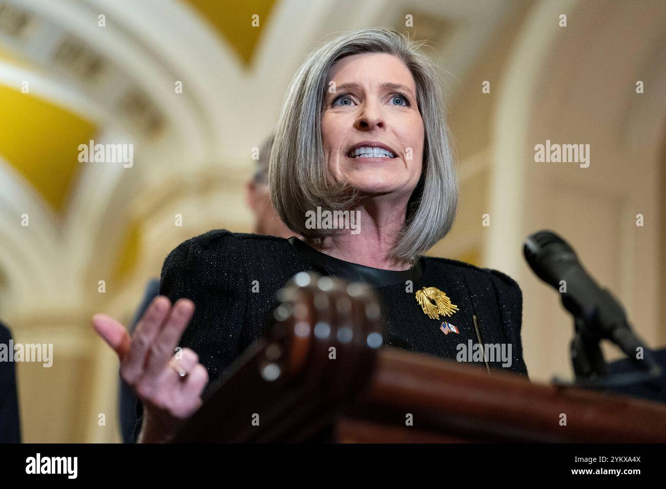 Washington, United States. 19th Nov, 2024. Sen. Joni Ernst, R-IA ...