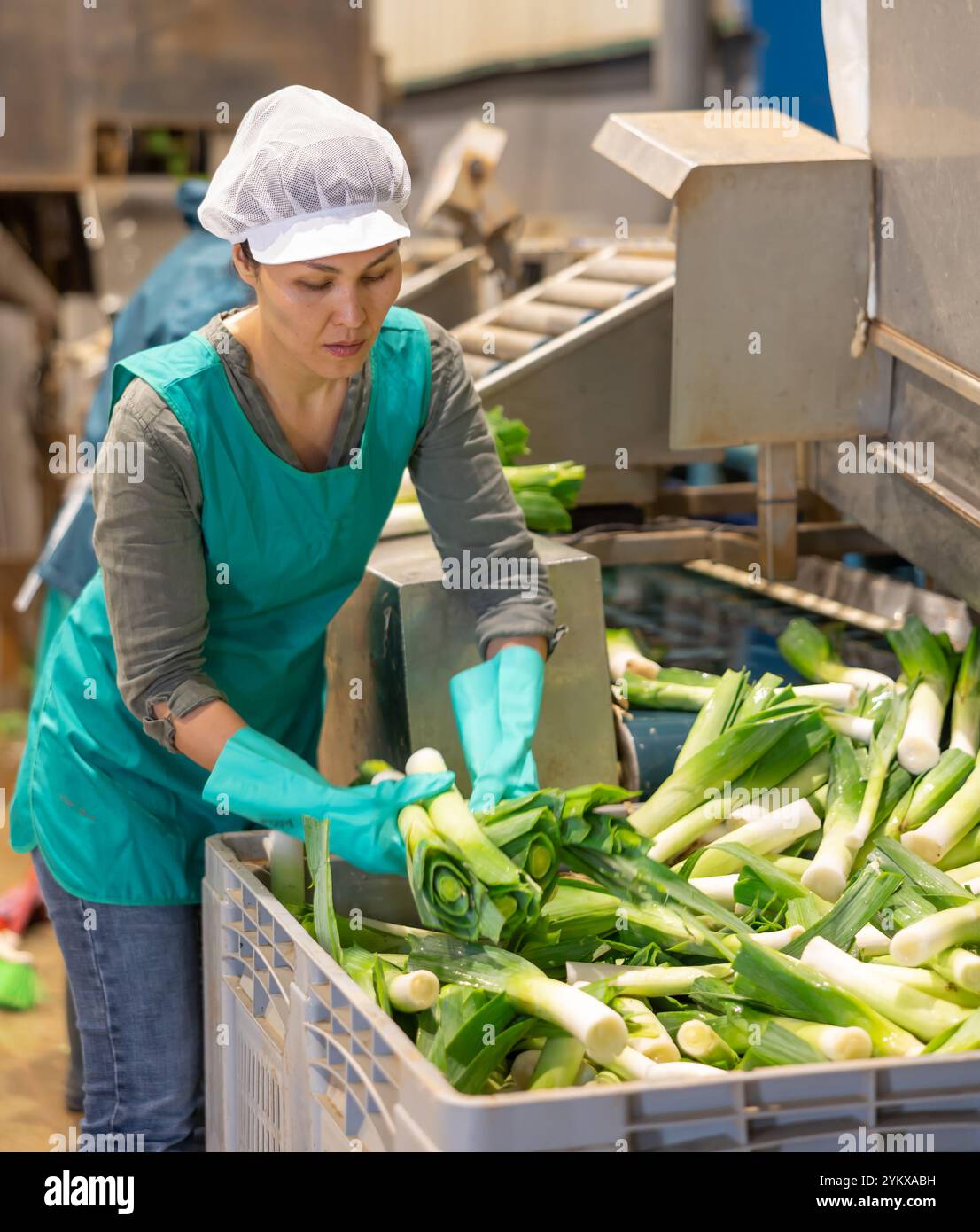 Workwoman washing green onions on sorting line in vegetable processing ...
