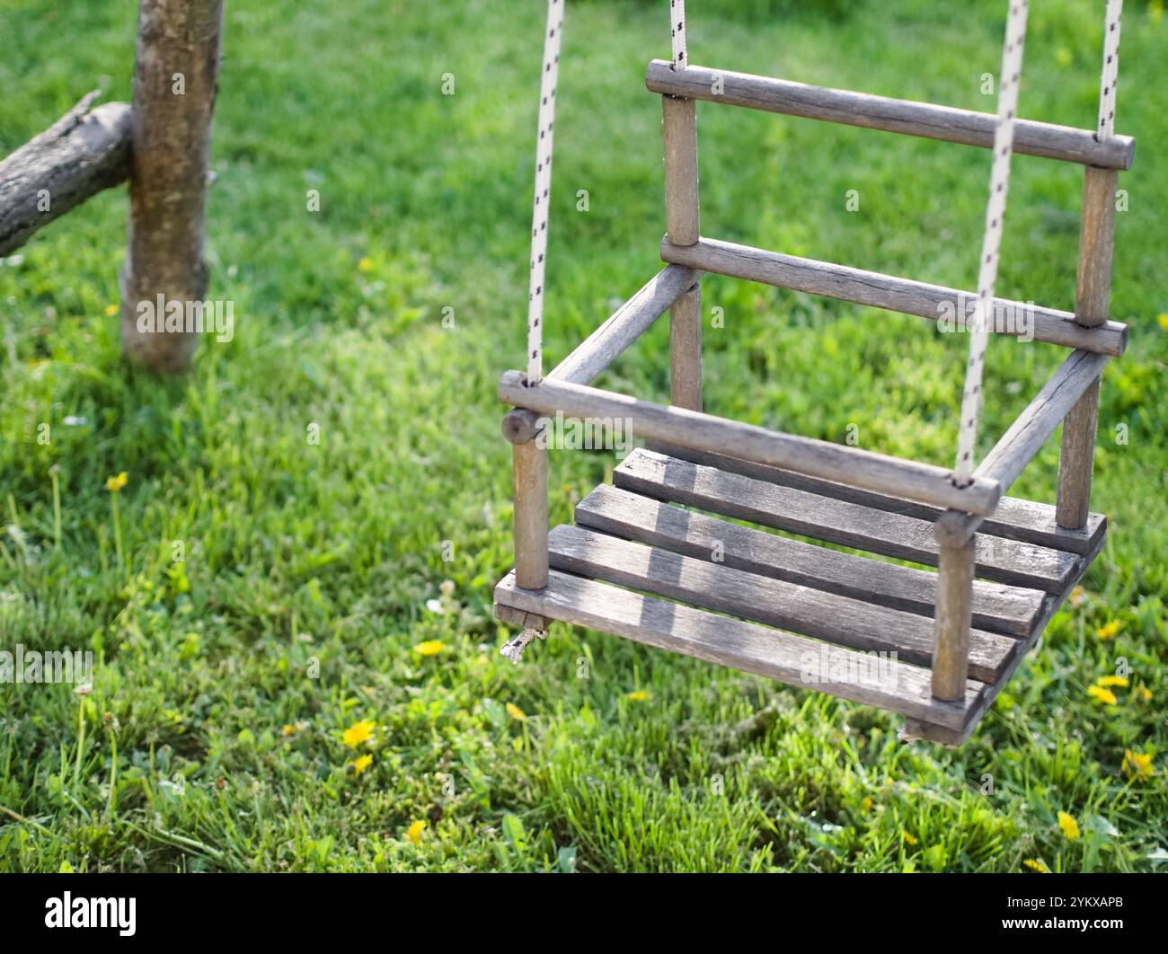 Empty Wooden Swing Close-up in the Garden with Green Grass Stock Photo ...