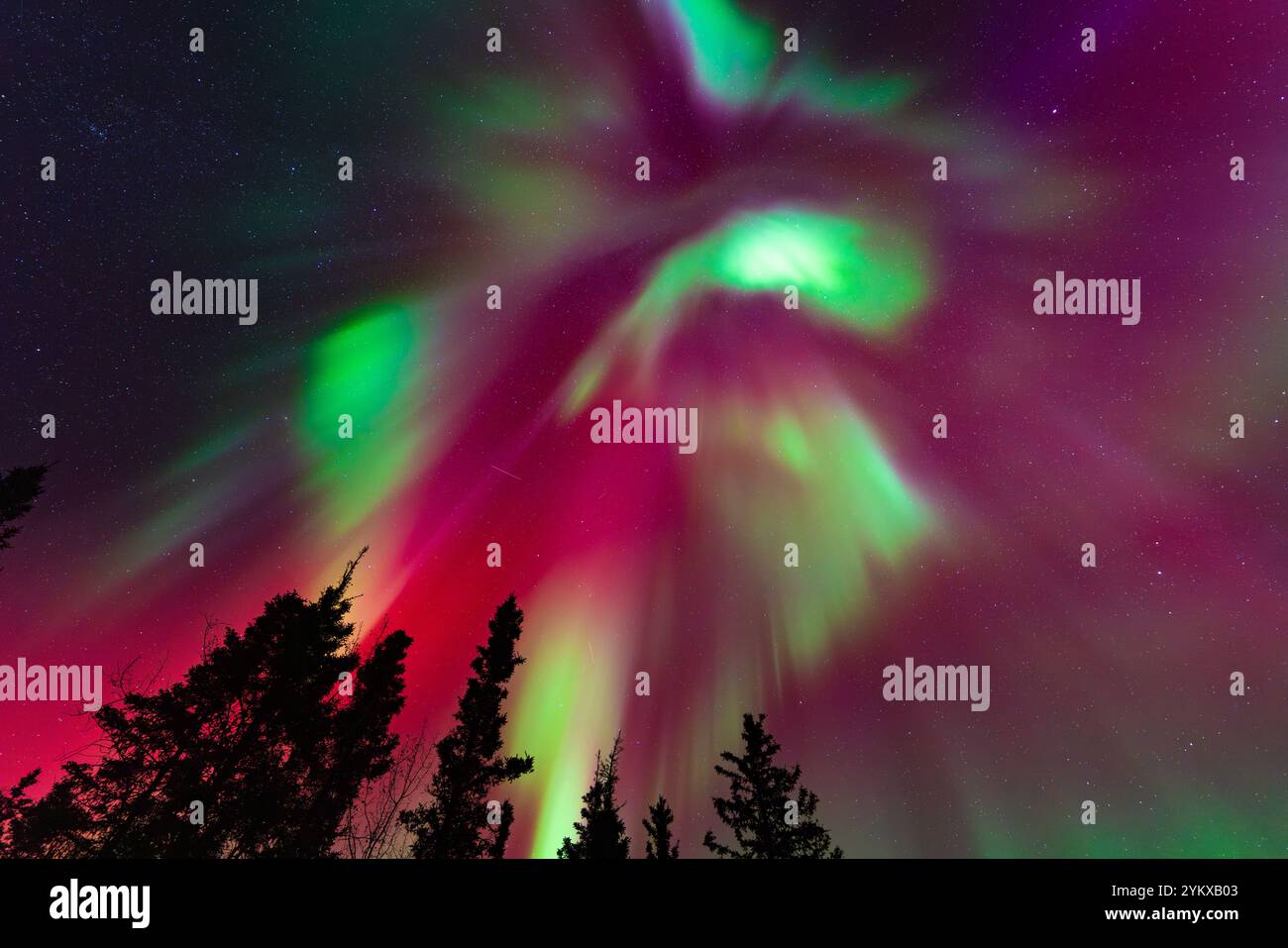 Colorful Aurora Borealis, Northern Lights, at Yellowknife, Northwest ...