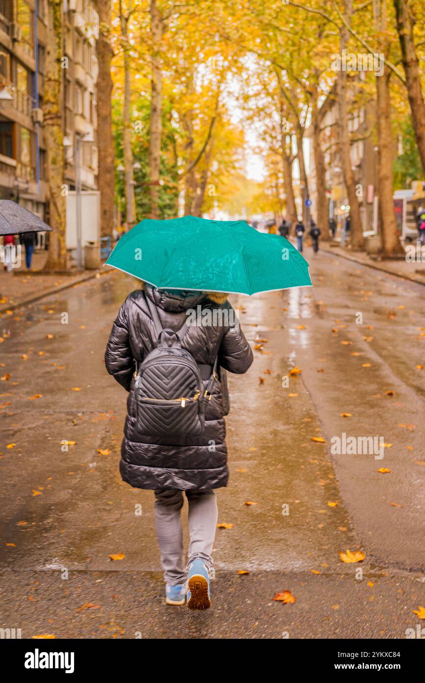 Back view of woman walking with green umbrella in an autumn street with ...