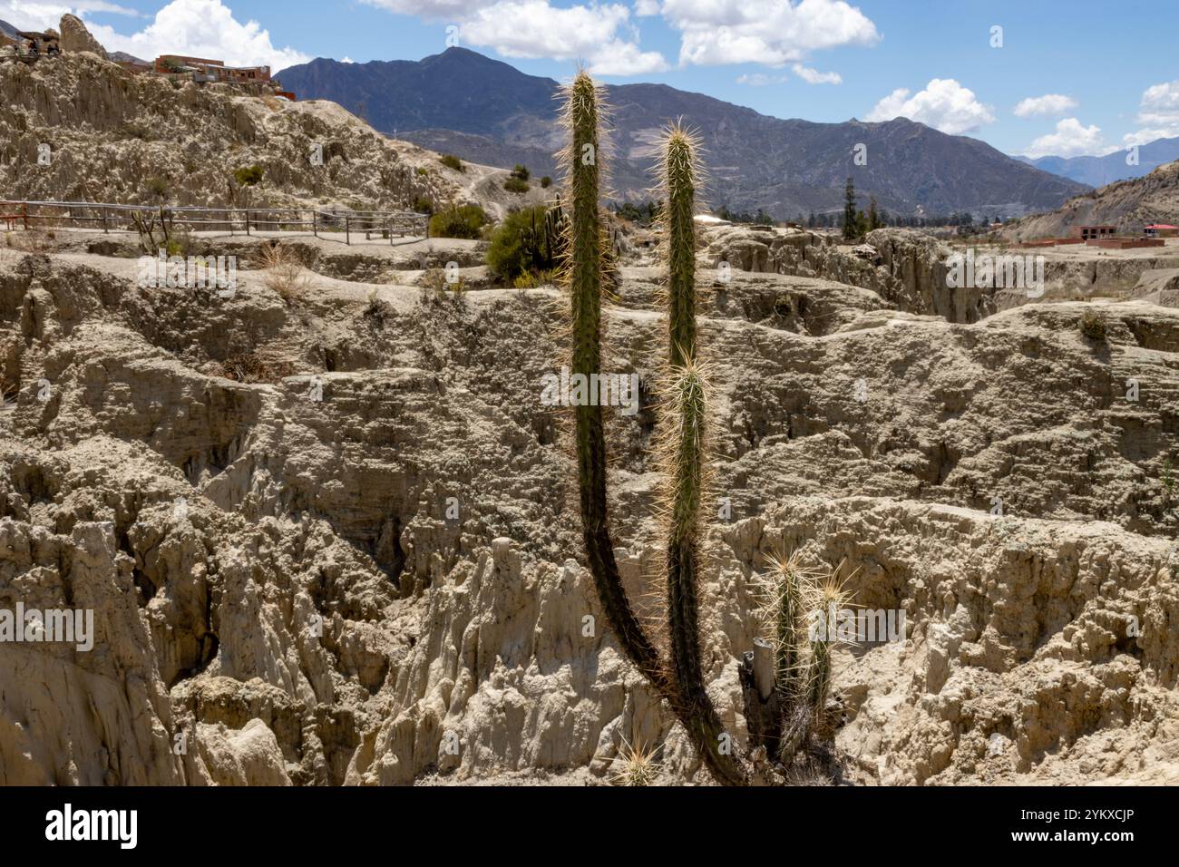 Valle de la Luna, amazing landscape created by erosion just outside La ...