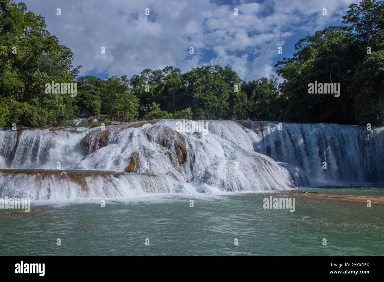 Agua Azul Waterfalls near Palenque, Chiapas, Mexico, surrounded by lush ...