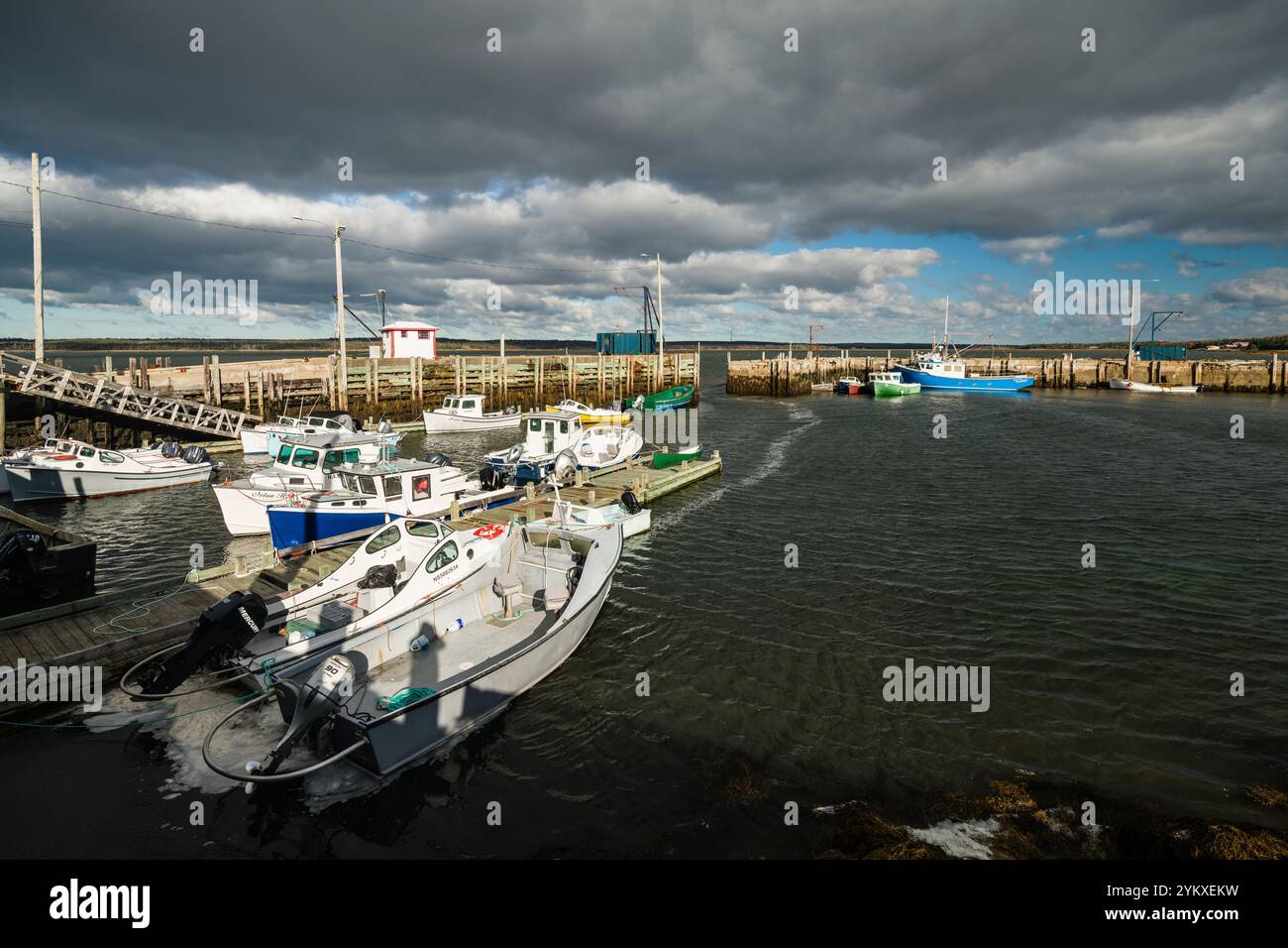 Wedgeport Sport Tuna Fishing Harbor Wedgeport, Nova Scotia, CAN Stock ...