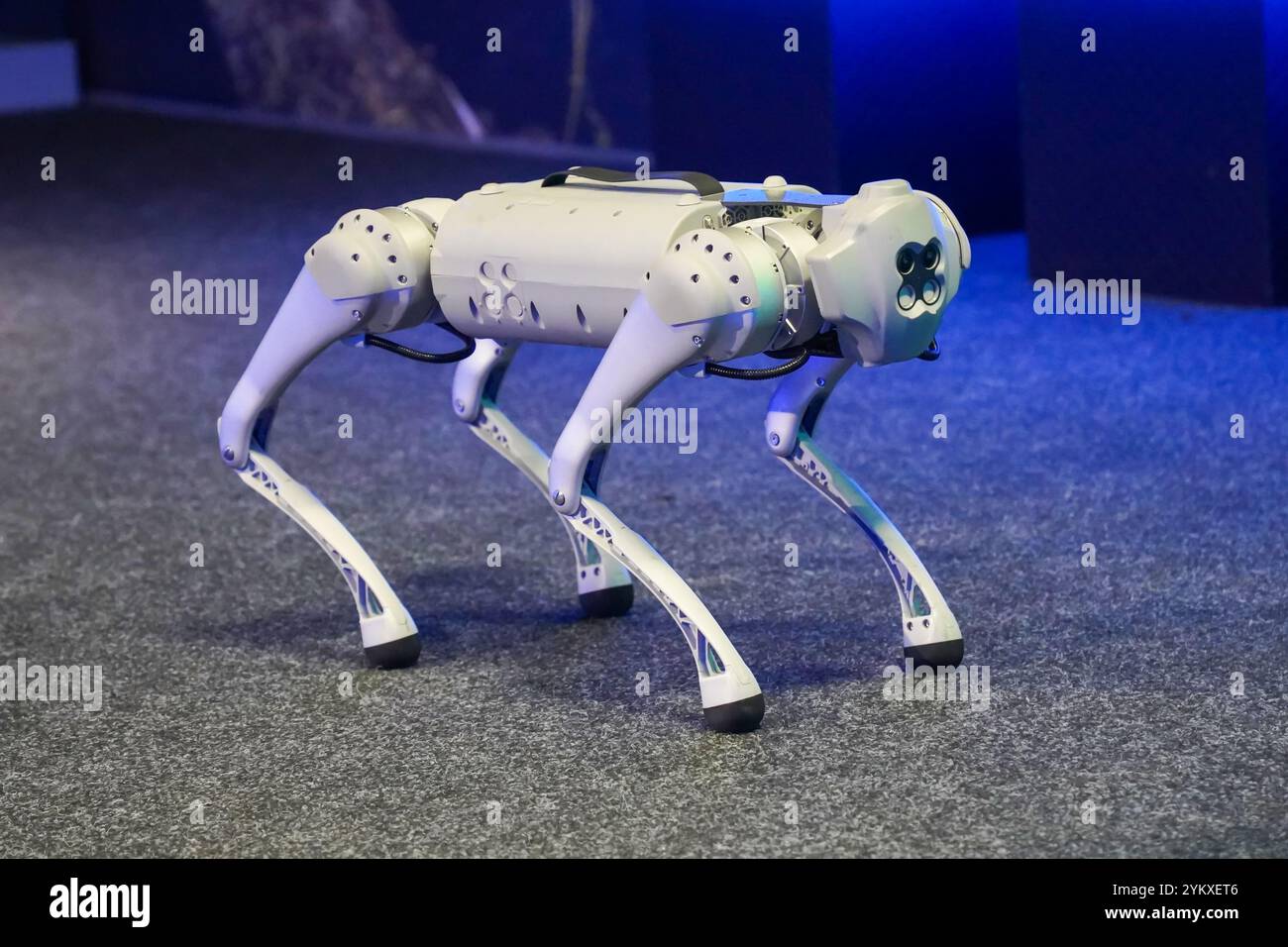 Military police at work hi-res stock photography and images - Alamy