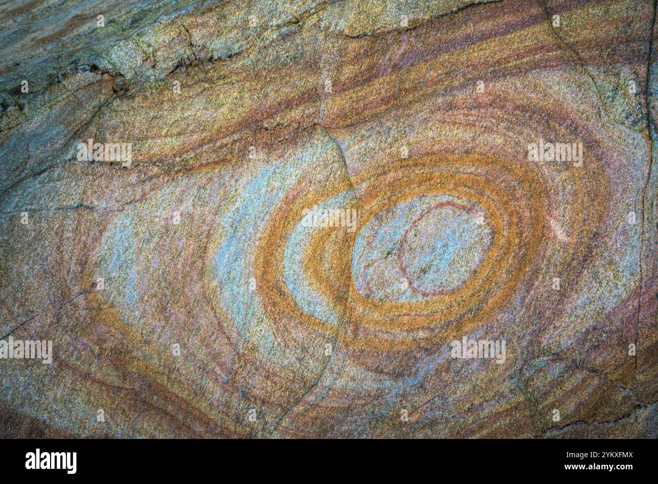 Iron deposits form concentric rings in the sandstone rock on a beach in ...