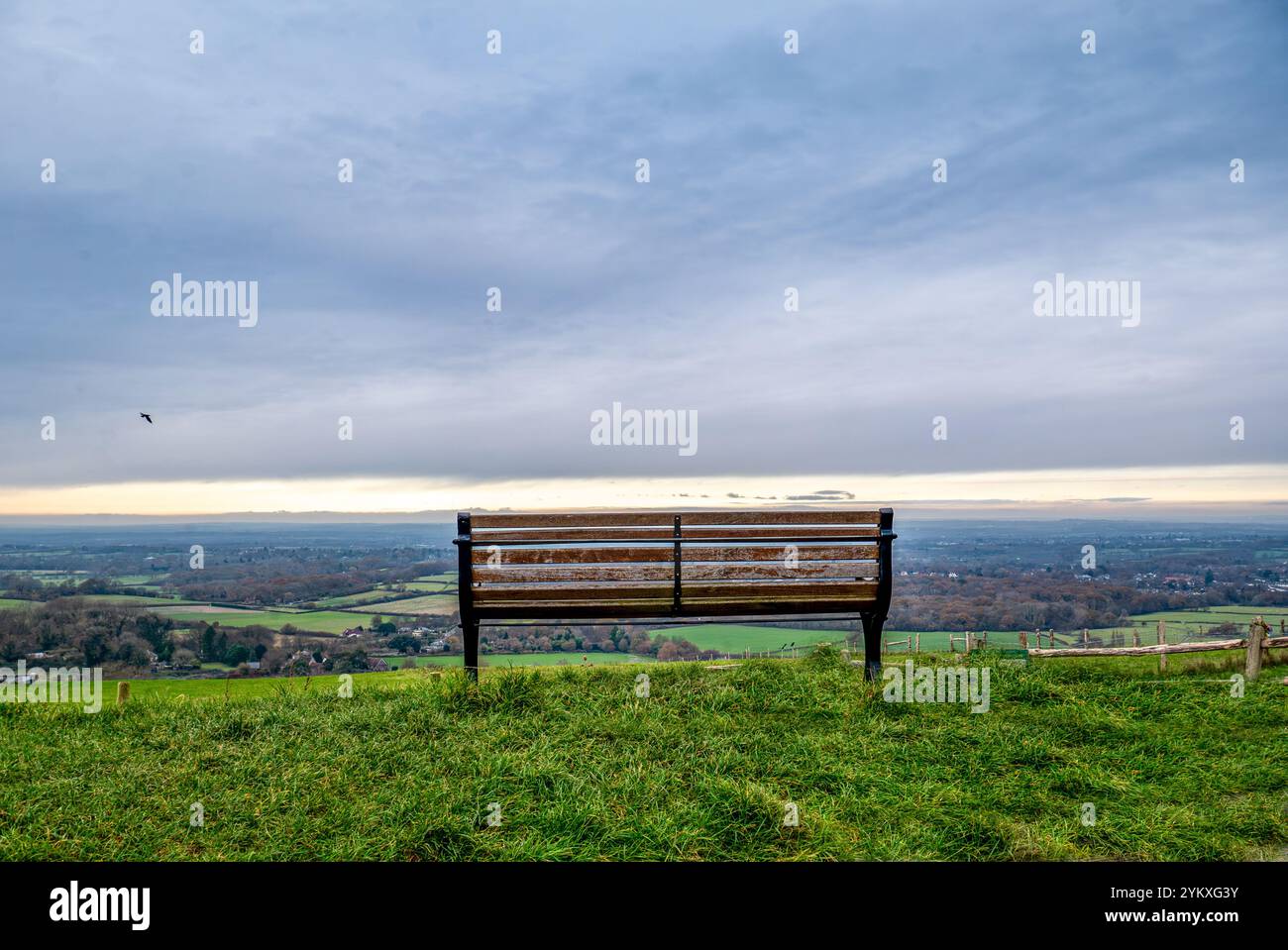 Trees bench top hill view hi-res stock photography and images - Alamy